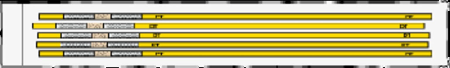 1/4cc Embryo Straw, Direct Transfer - Yellow 100/pk